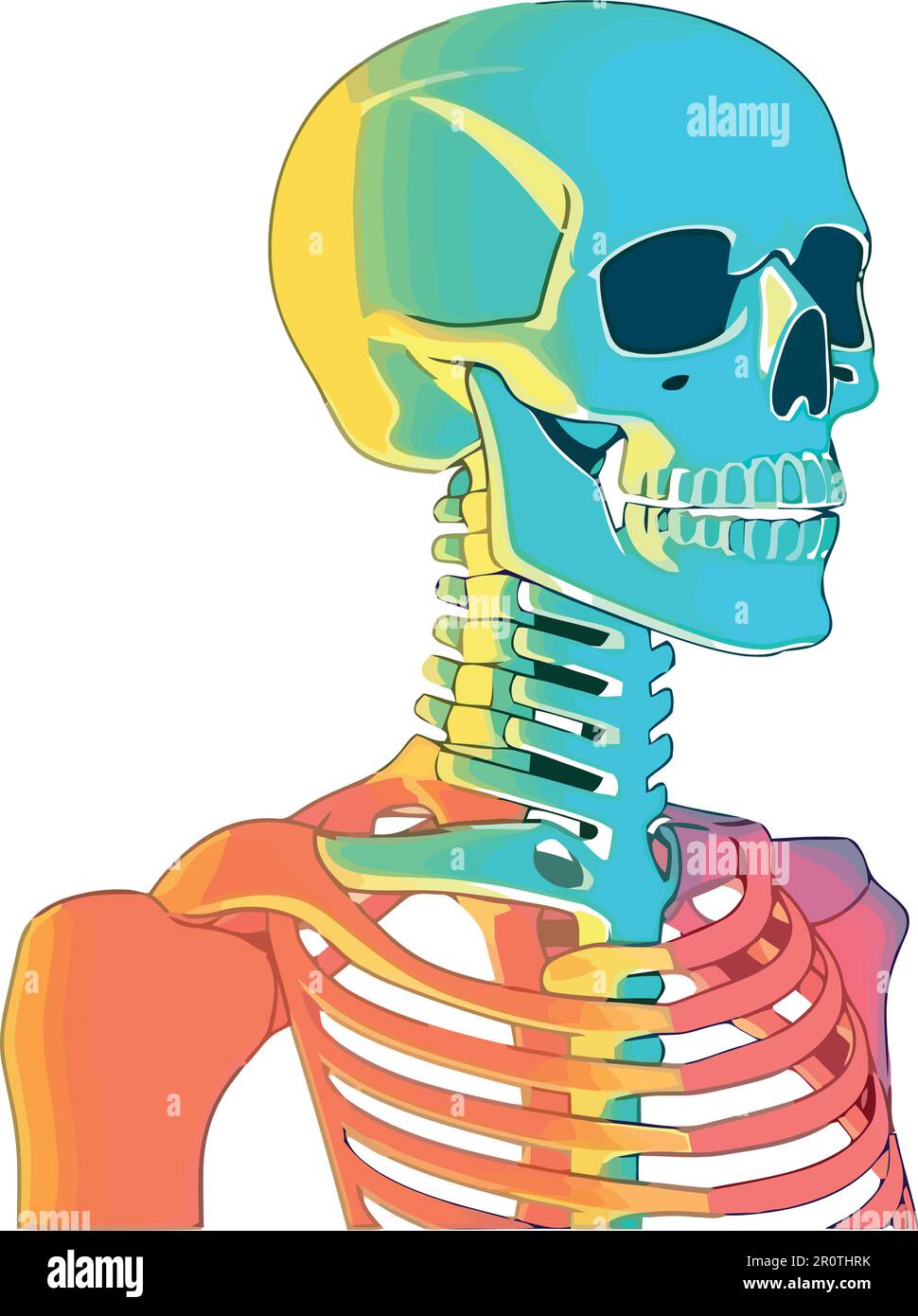 human skull design Stock Vector Image & Art - Alamy