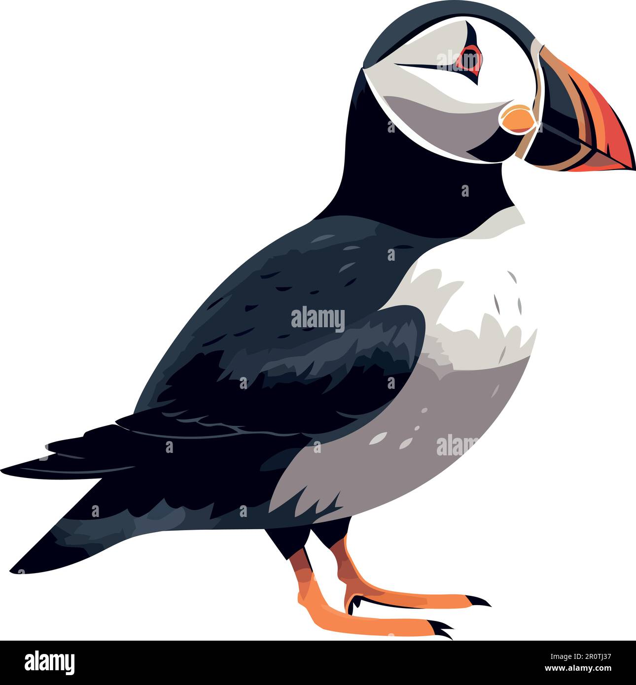 Feathers illustration cut out Stock Vector Images - Alamy