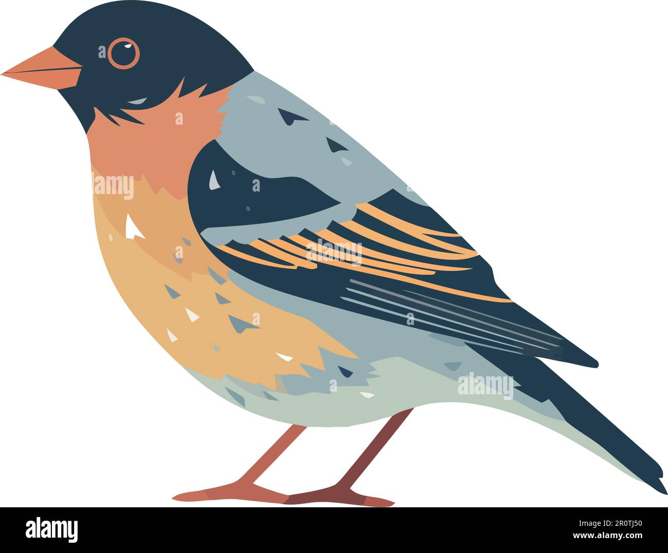 Sparrow bird perching on Cut Out Stock Images & Pictures - Alamy