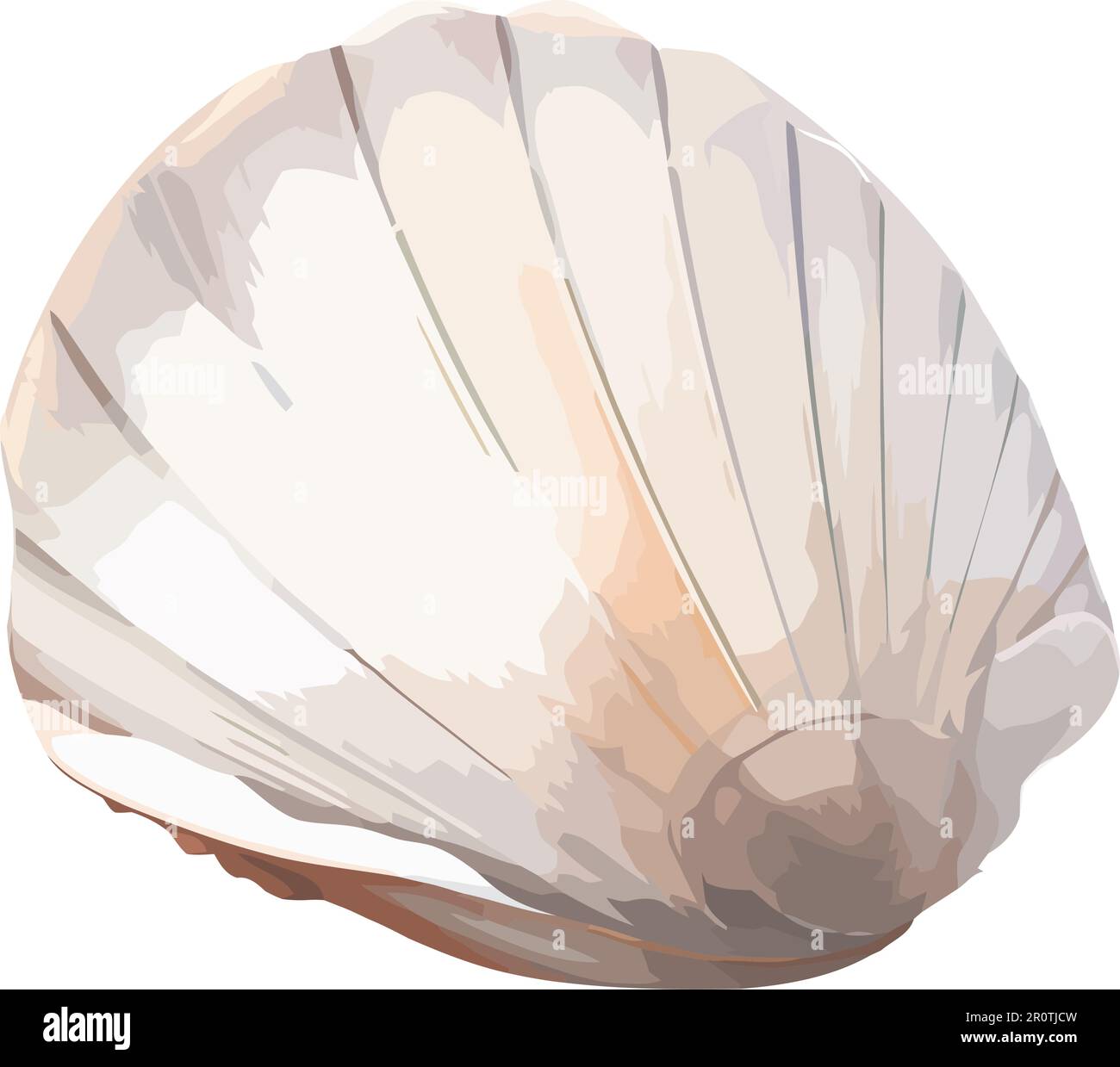 Aquatic bivalve Stock Vector Images - Alamy