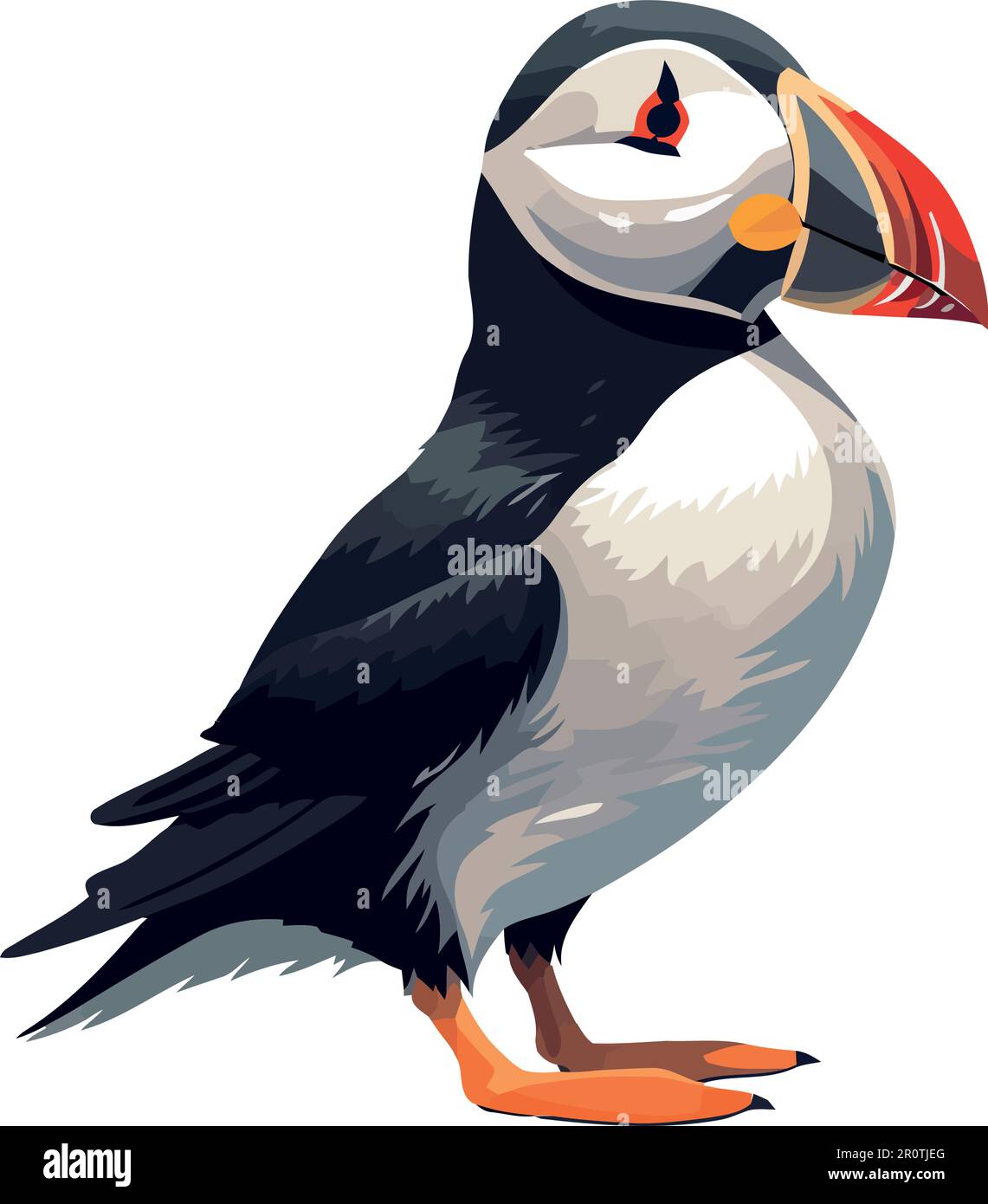 Dodo beak Cut Out Stock Images & Pictures - Alamy