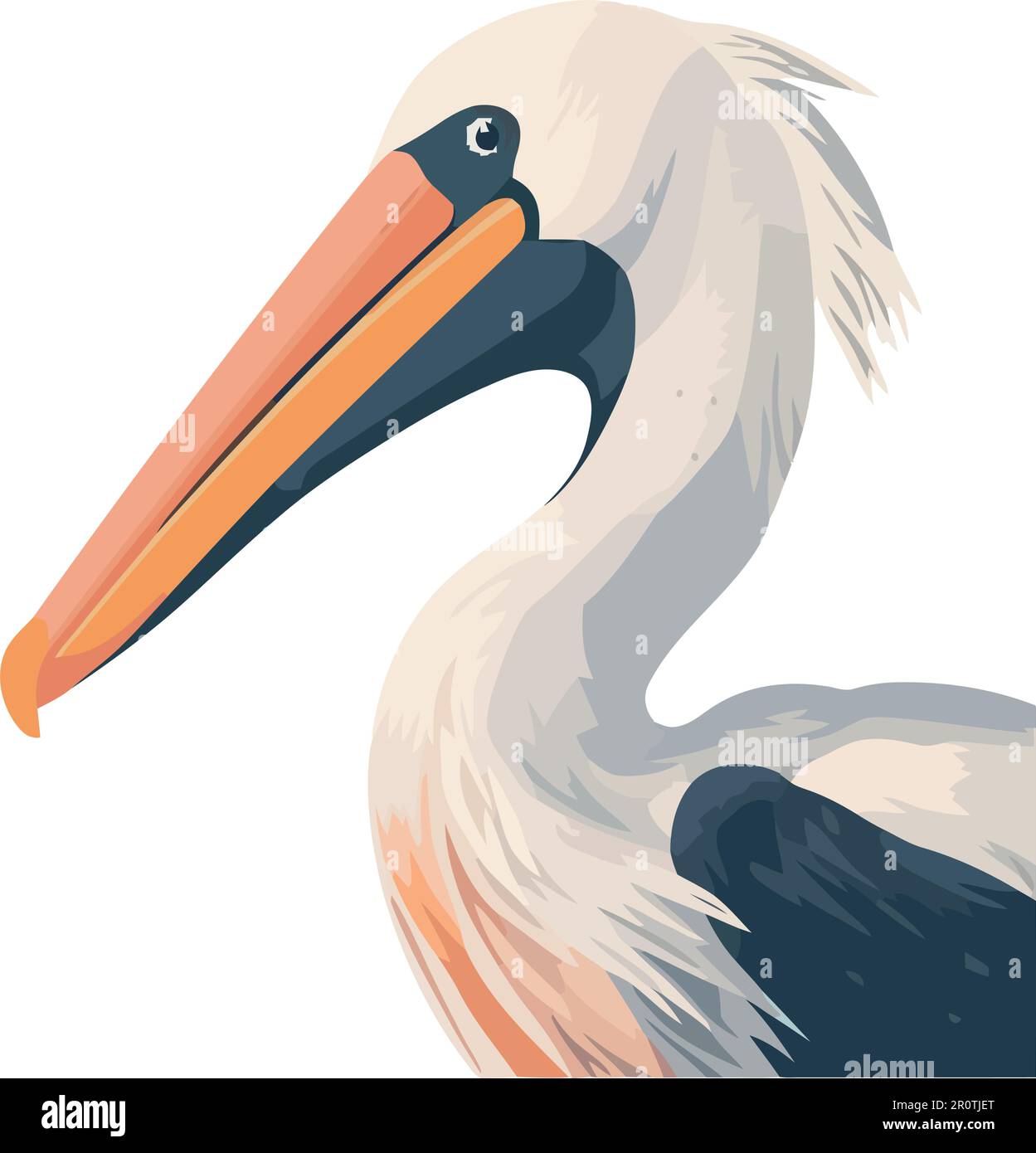 Pelican painting Cut Out Stock Images & Pictures - Alamy