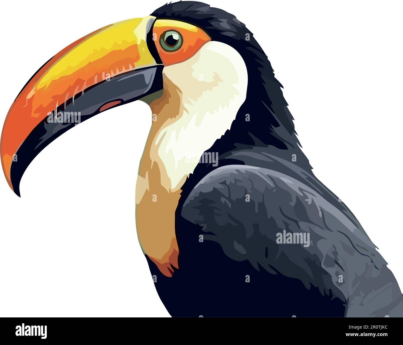 Multi colored toucan flying in tropical rainforest Stock Vector Image ...