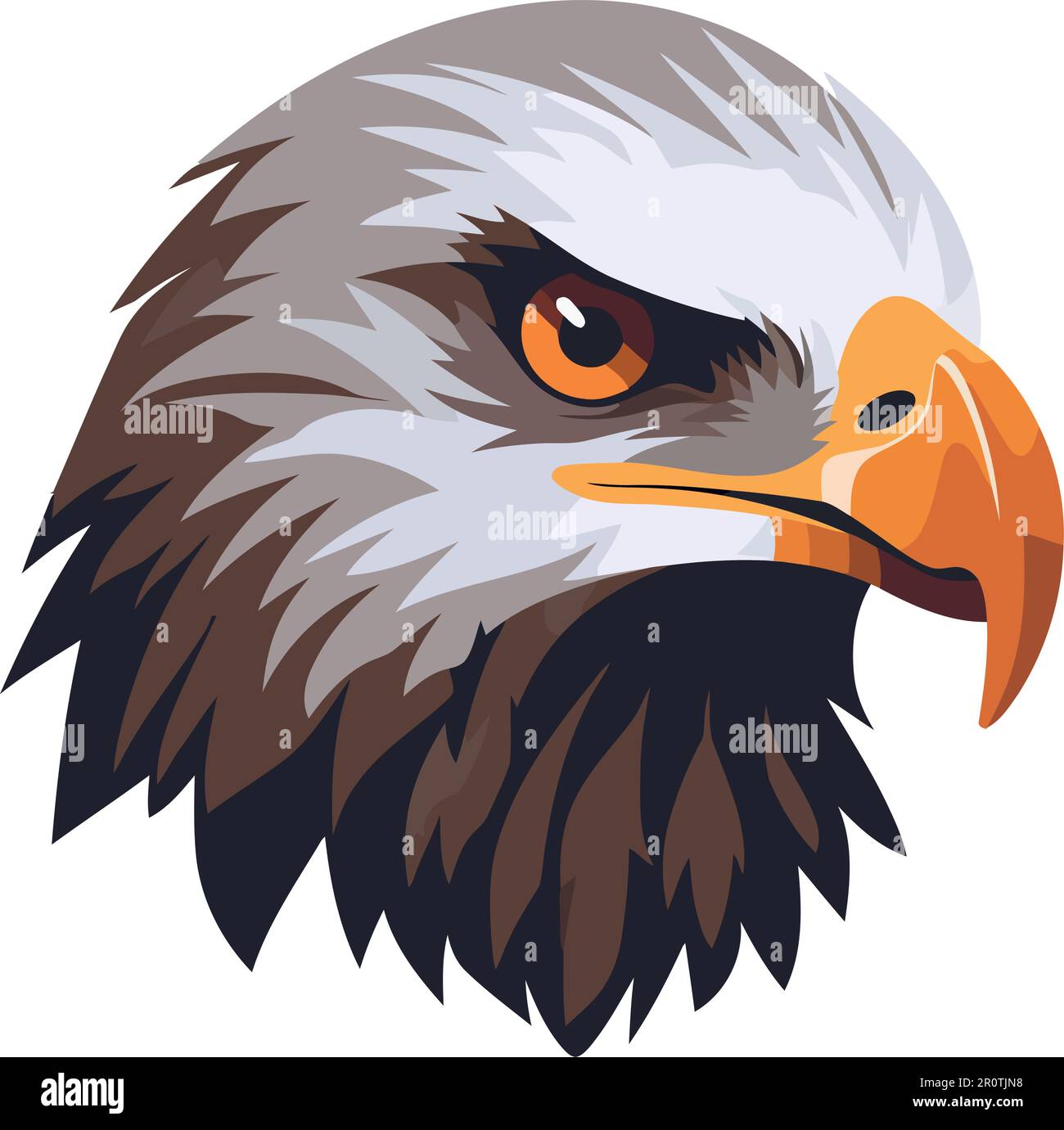 Soaring bald eagle Cut Out Stock Images & Pictures - Alamy Soaring bald eagle Cut Out Stock Images & Pictures - Alamy