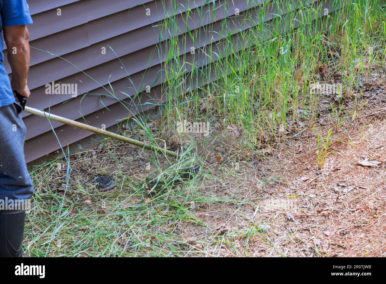 Trimming grass on lawn around residential building with lawn mower is ...
