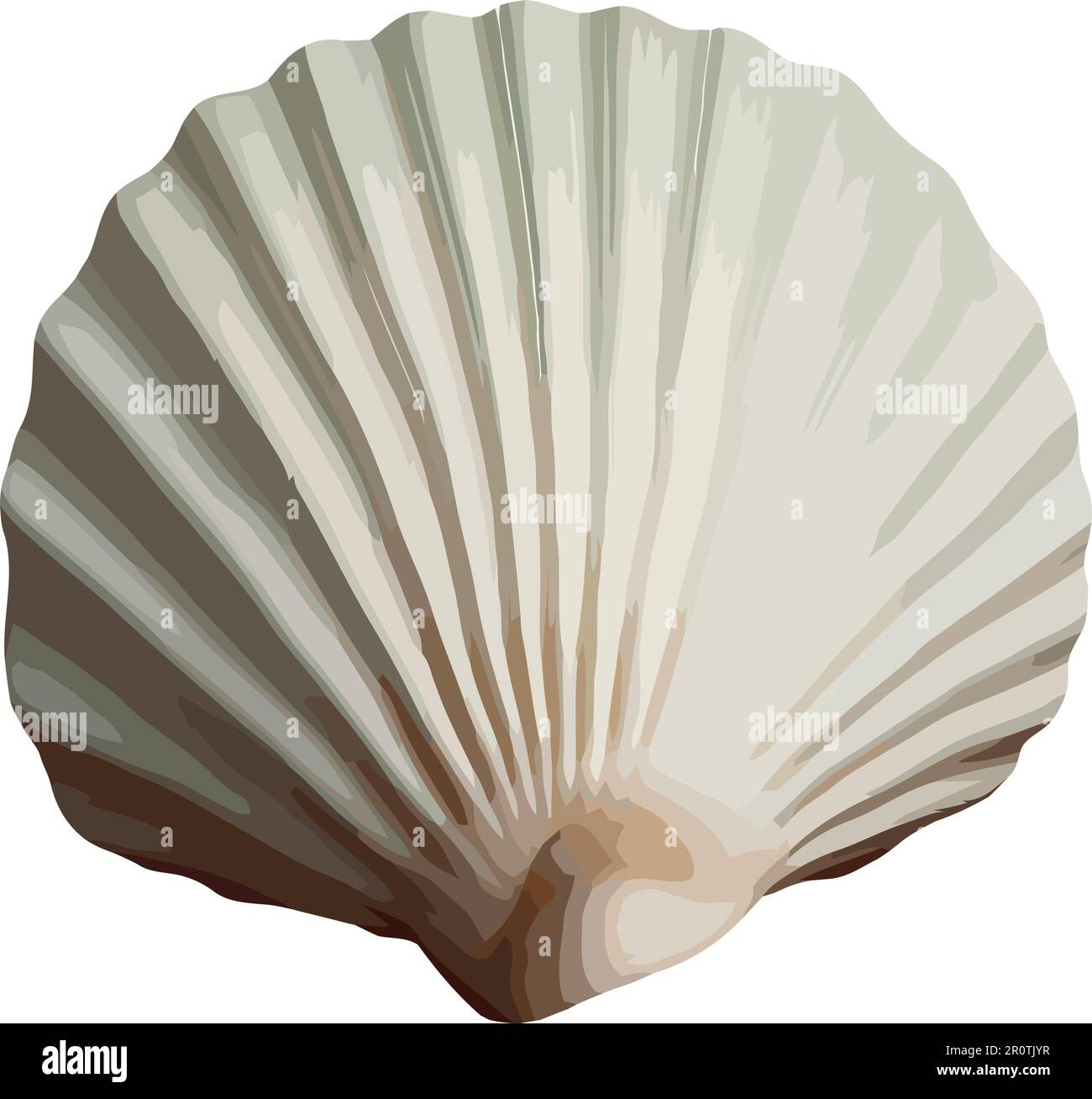 Ornate seashell symbol of tropical vacations Stock Vector Image & Art ...