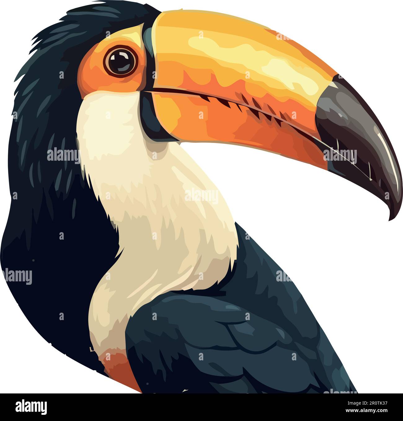 Toucan flying in tropical rainforest colorful beak Stock Vector Image ...