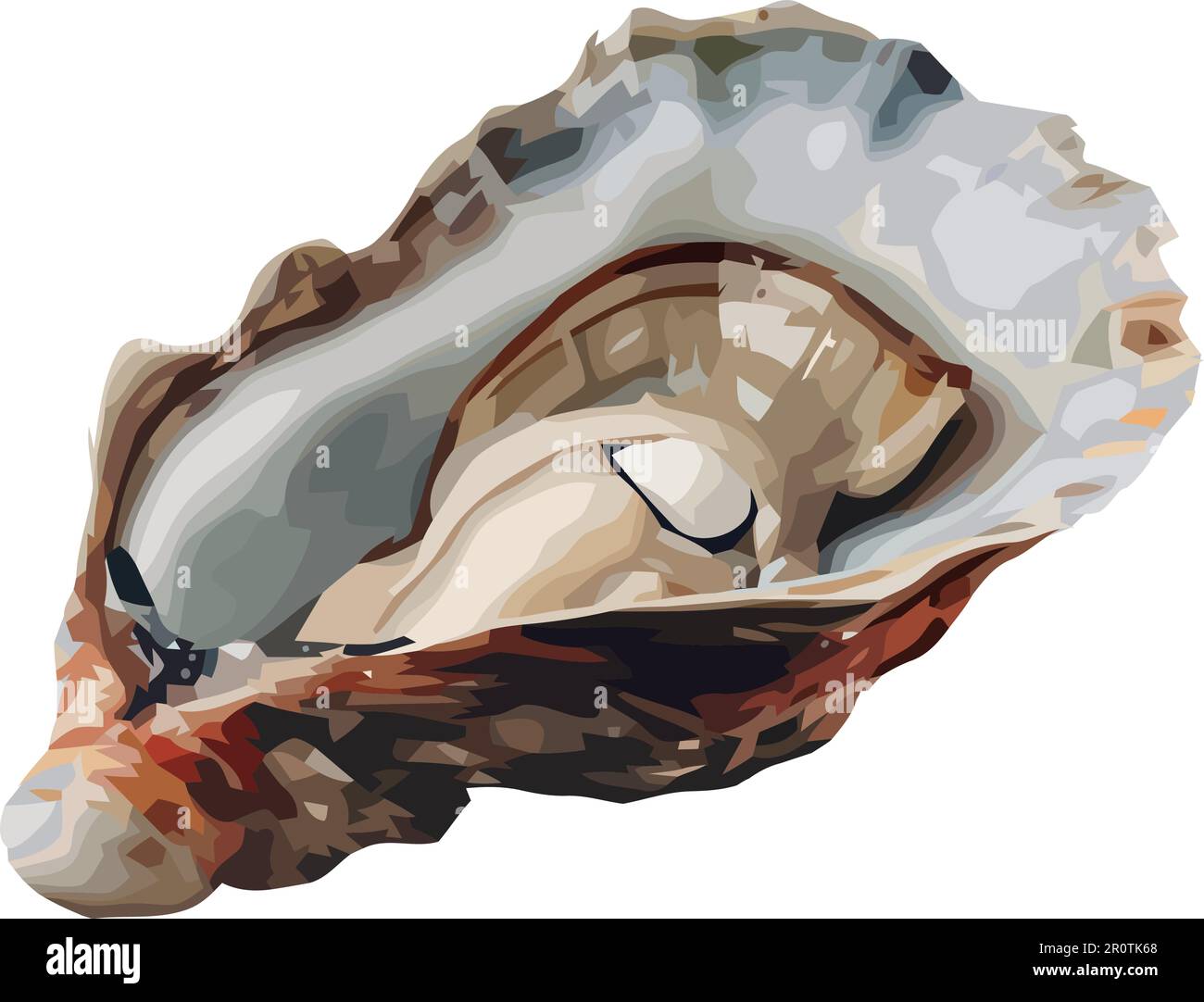 Fresh oyster vector Stock Vector Image & Art - Alamy