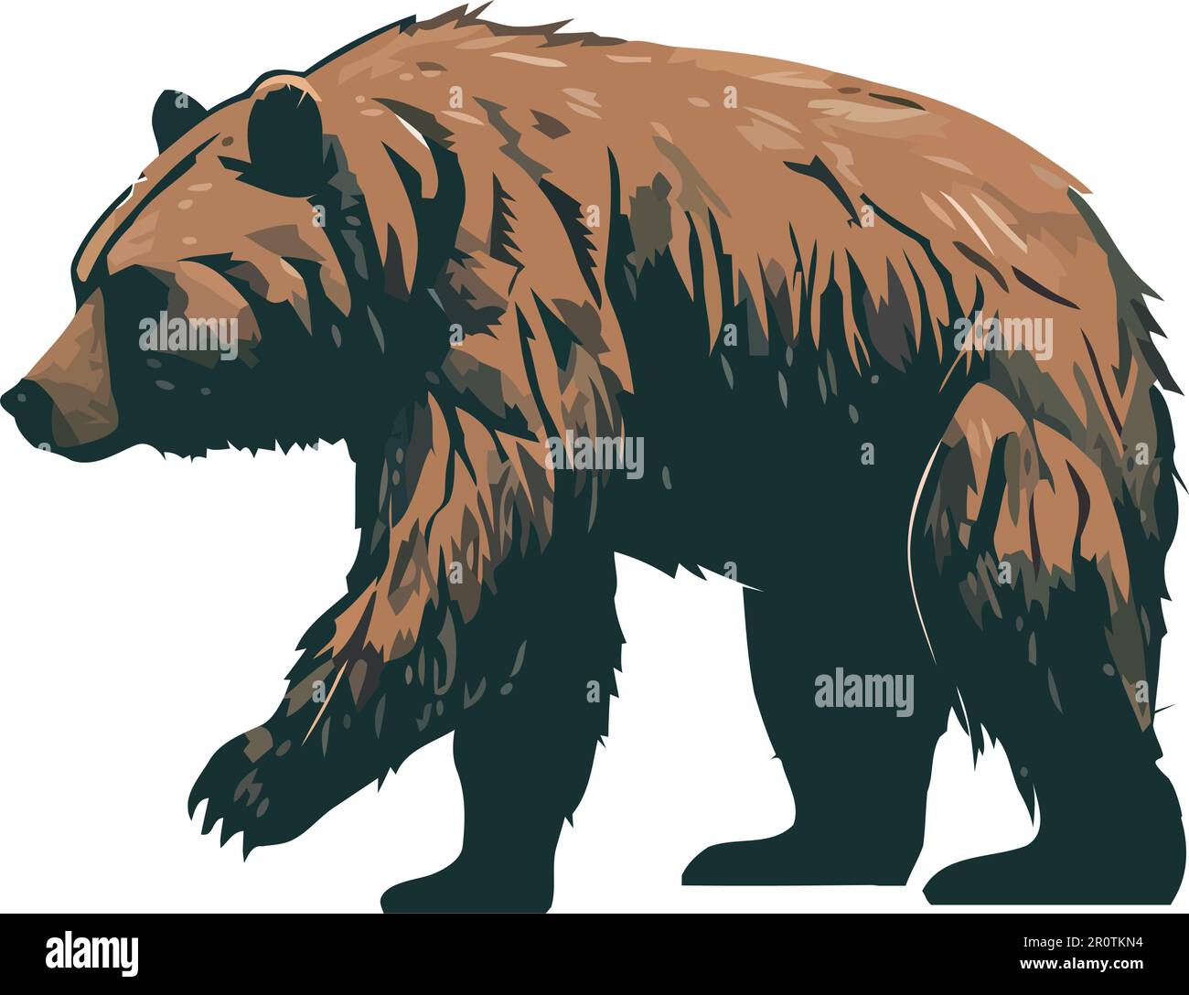 Grizzly bear standing watching dangerous Stock Vector Image & Art - Alamy