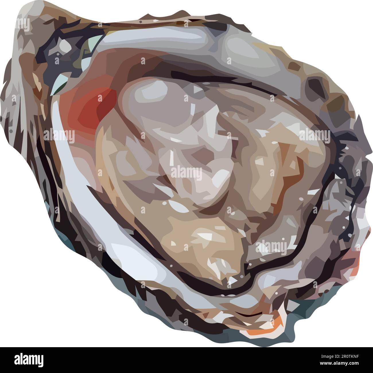 Vector bivalves hi-res stock photography and images - Alamy