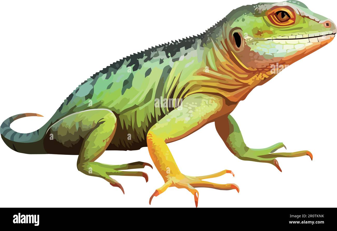 Green gecko on branch in tropical rainforest Stock Vector Image & Art ...