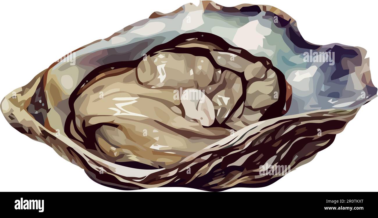 Vector bivalves hi-res stock photography and images - Alamy