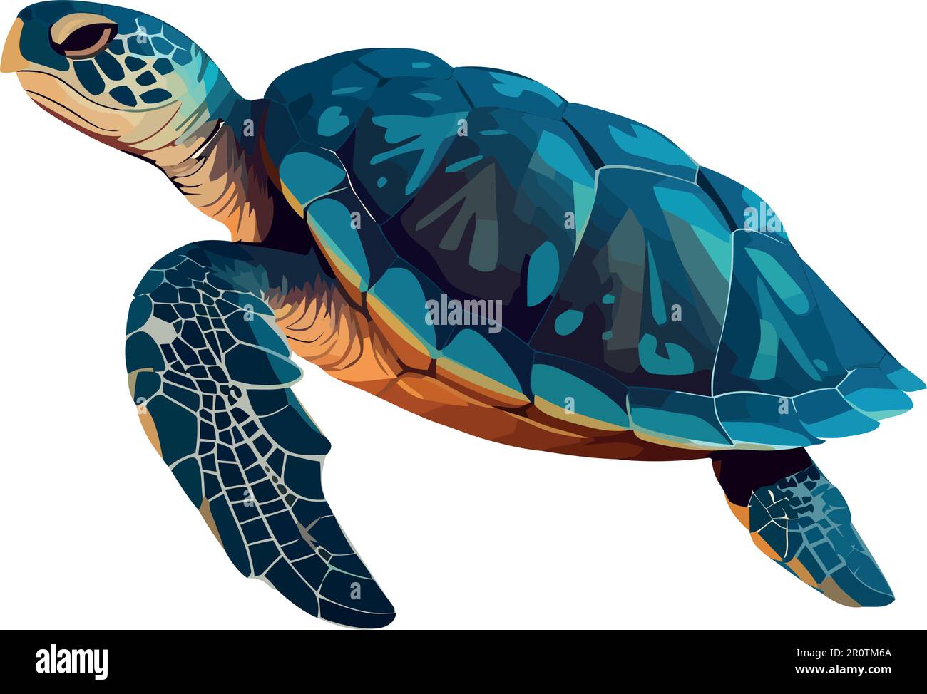 Small turtle in nature Stock Vector Images - Alamy