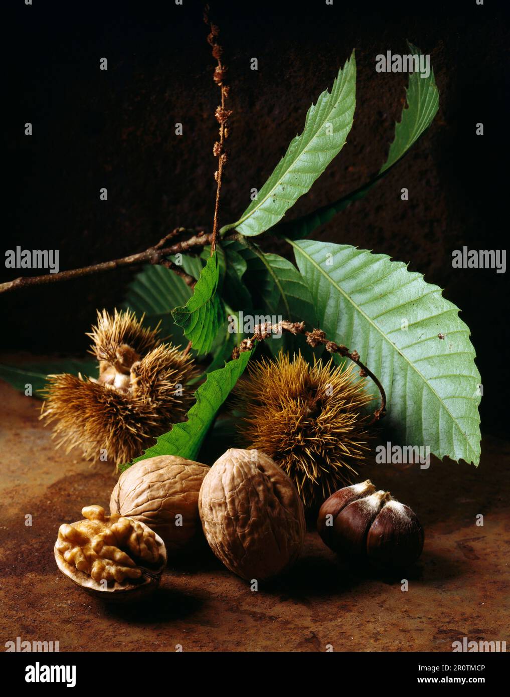Burr walnut hi-res stock photography and images - Alamy