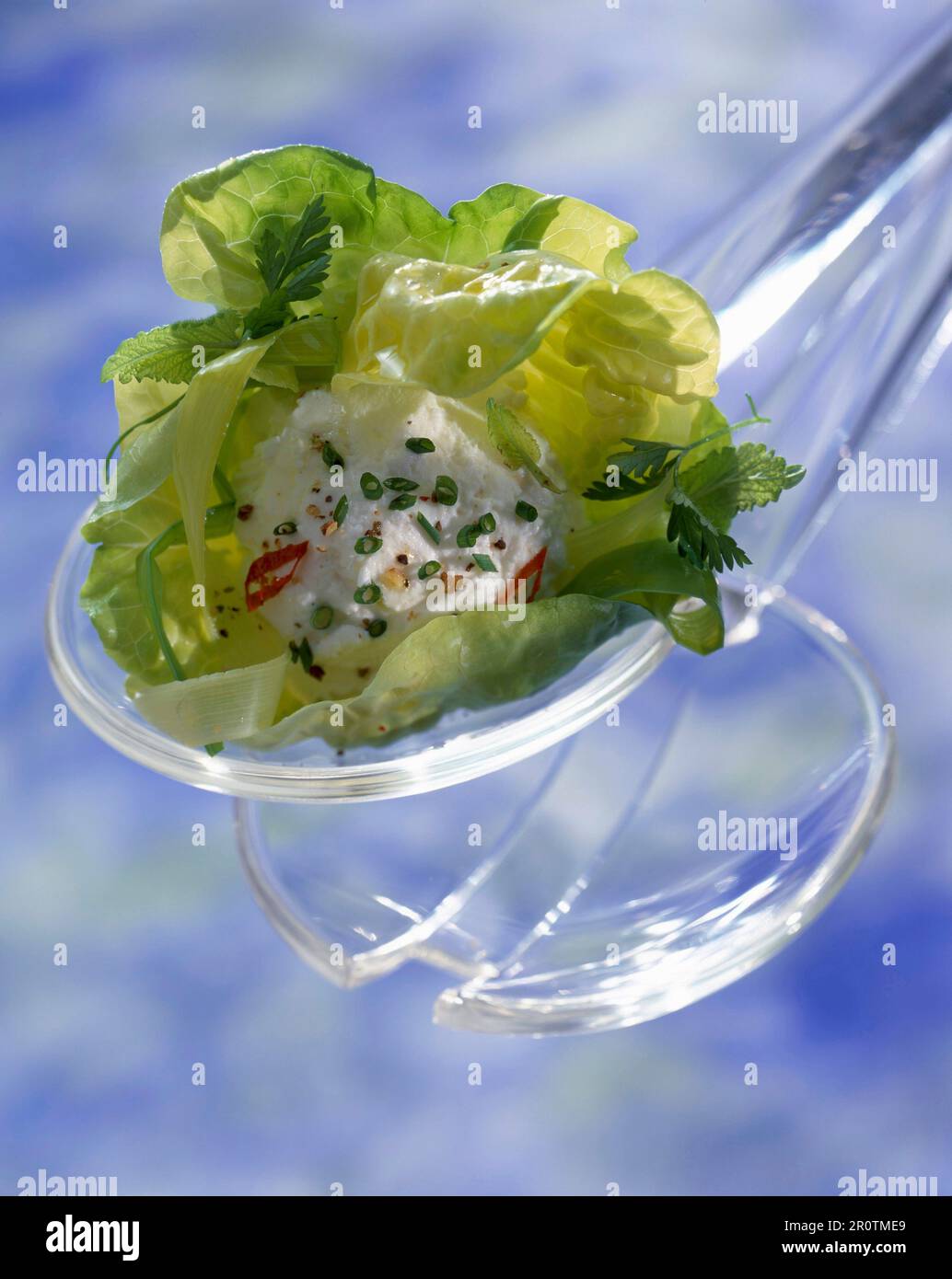 Lettuce with goat's cheese Stock Photo - Alamy