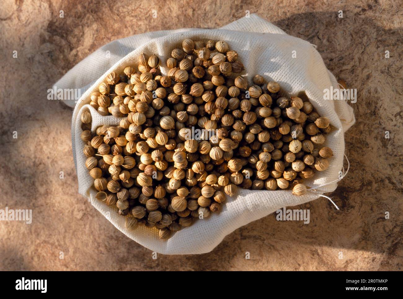 Seed carrier hi-res stock photography and images - Alamy