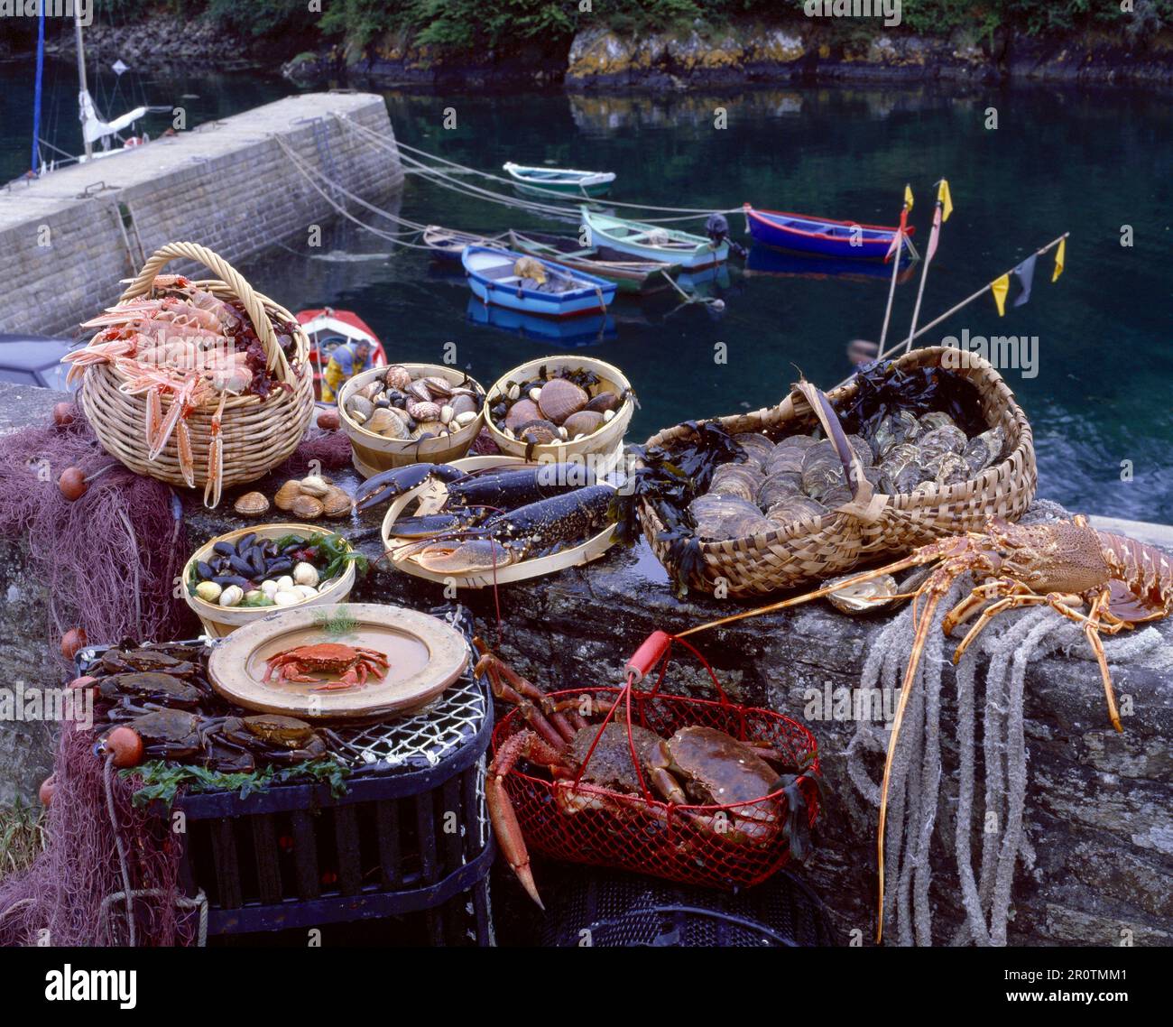 Common oyster shell hi-res stock photography and images - Alamy