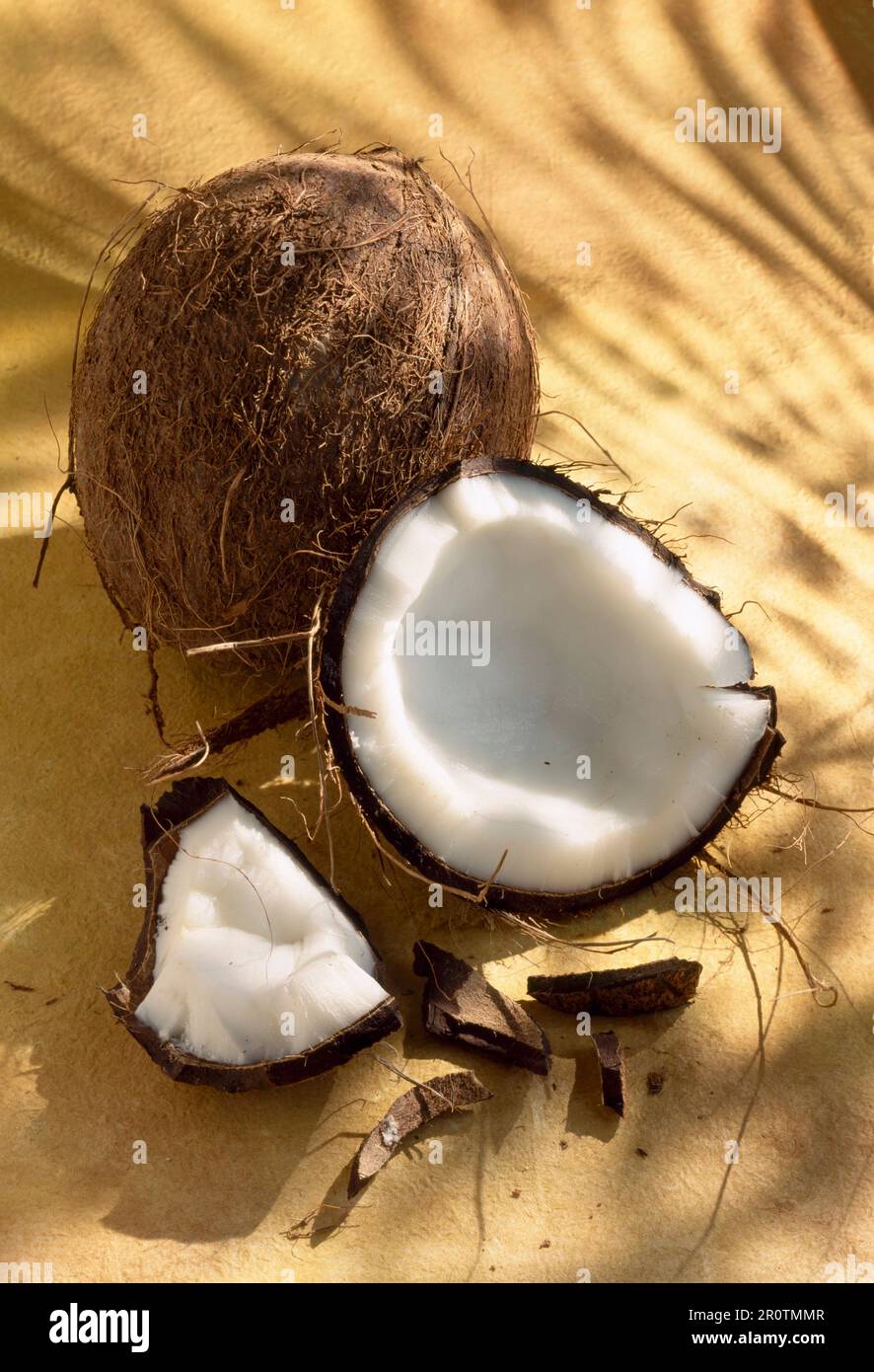 The whole gardens hi-res stock photography and images - Alamy