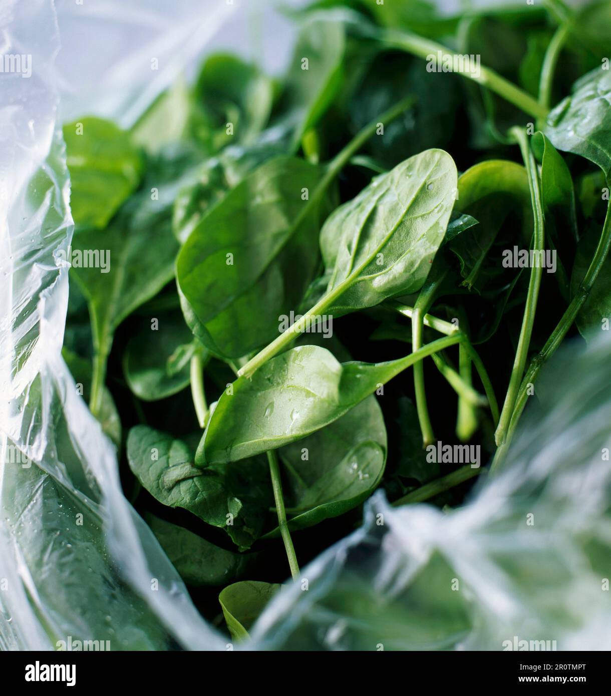 Tetragone hi-res stock photography and images - Alamy