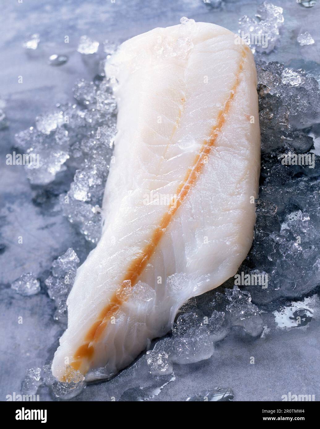 Atlantic hake hi-res stock photography and images - Alamy