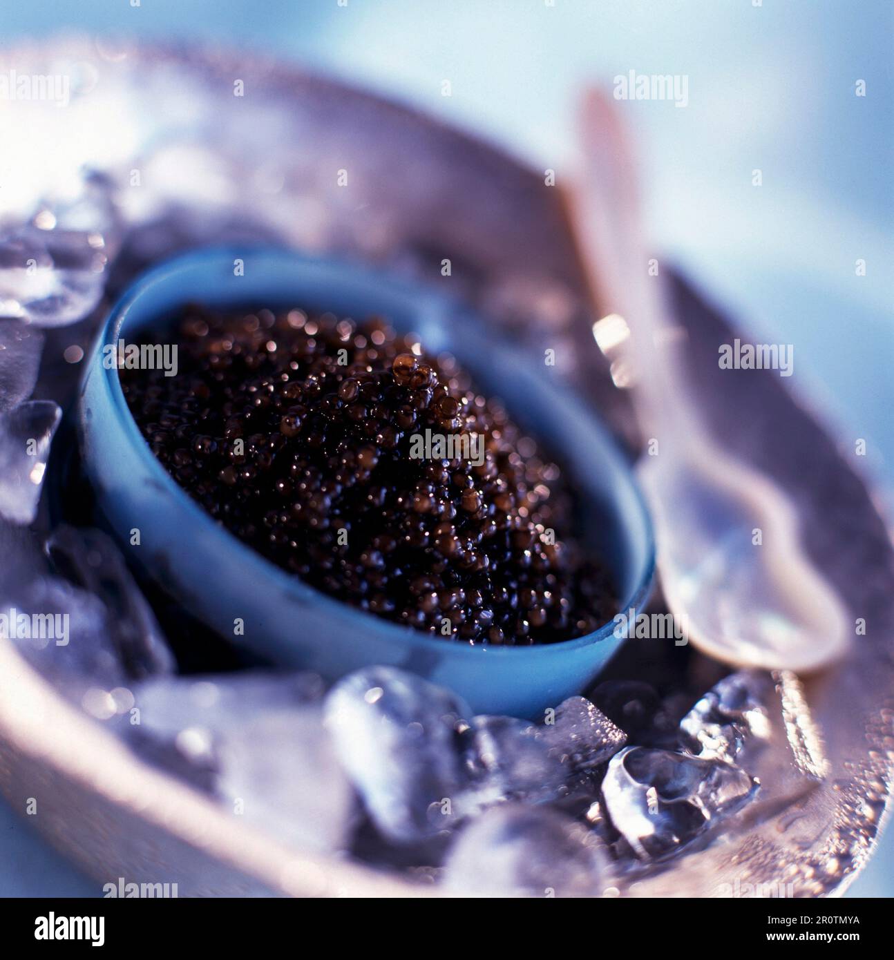 Caviar sturgeon ice hi-res stock photography and images - Alamy