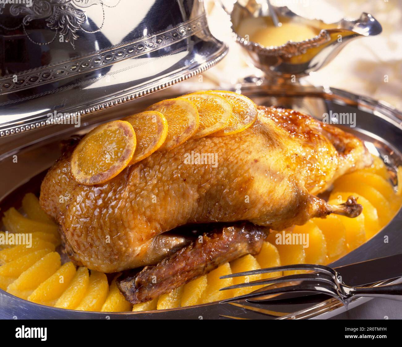 Duck winter france hi-res stock photography and images - Alamy