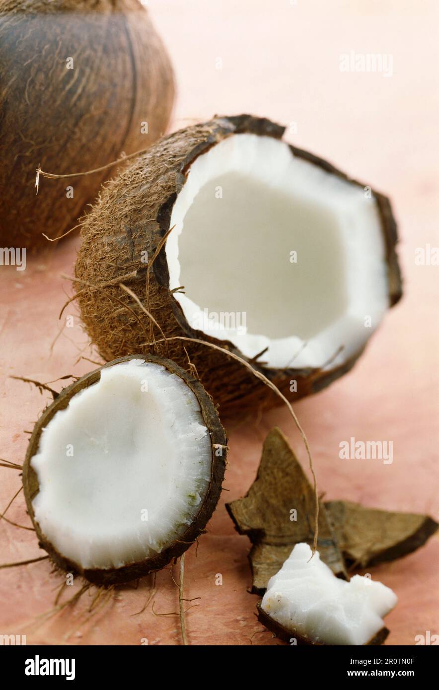 Breaking open coconut hi-res stock photography and images - Alamy