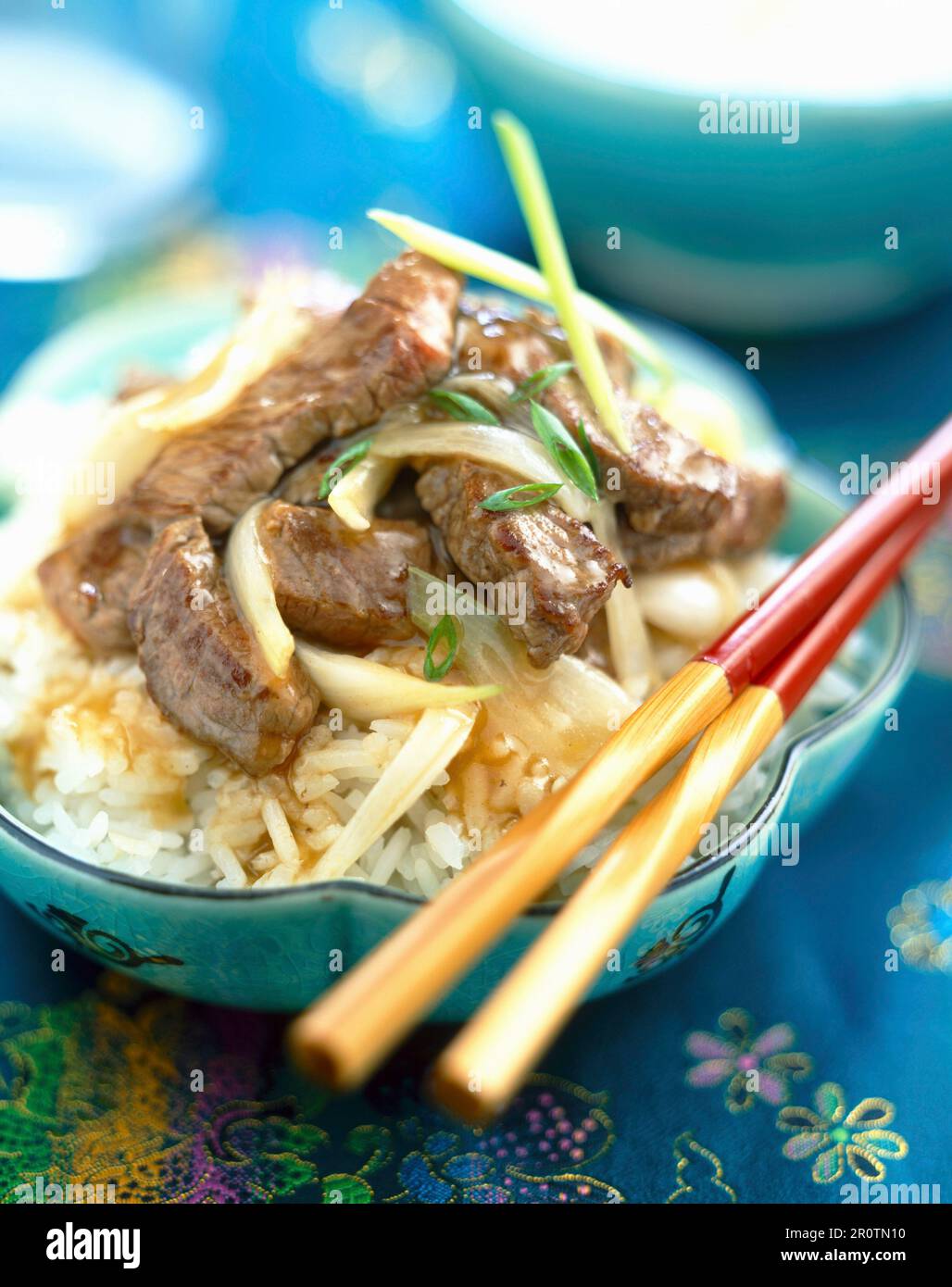 Chinese sautéed beef and rice Stock Photo - Alamy