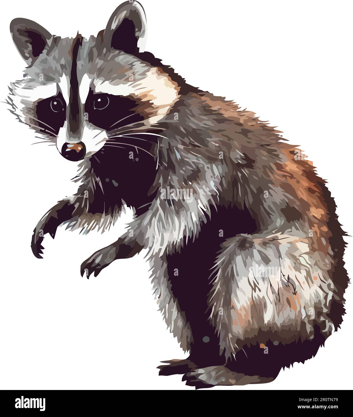 Curious racoon Stock Vector Images - Alamy