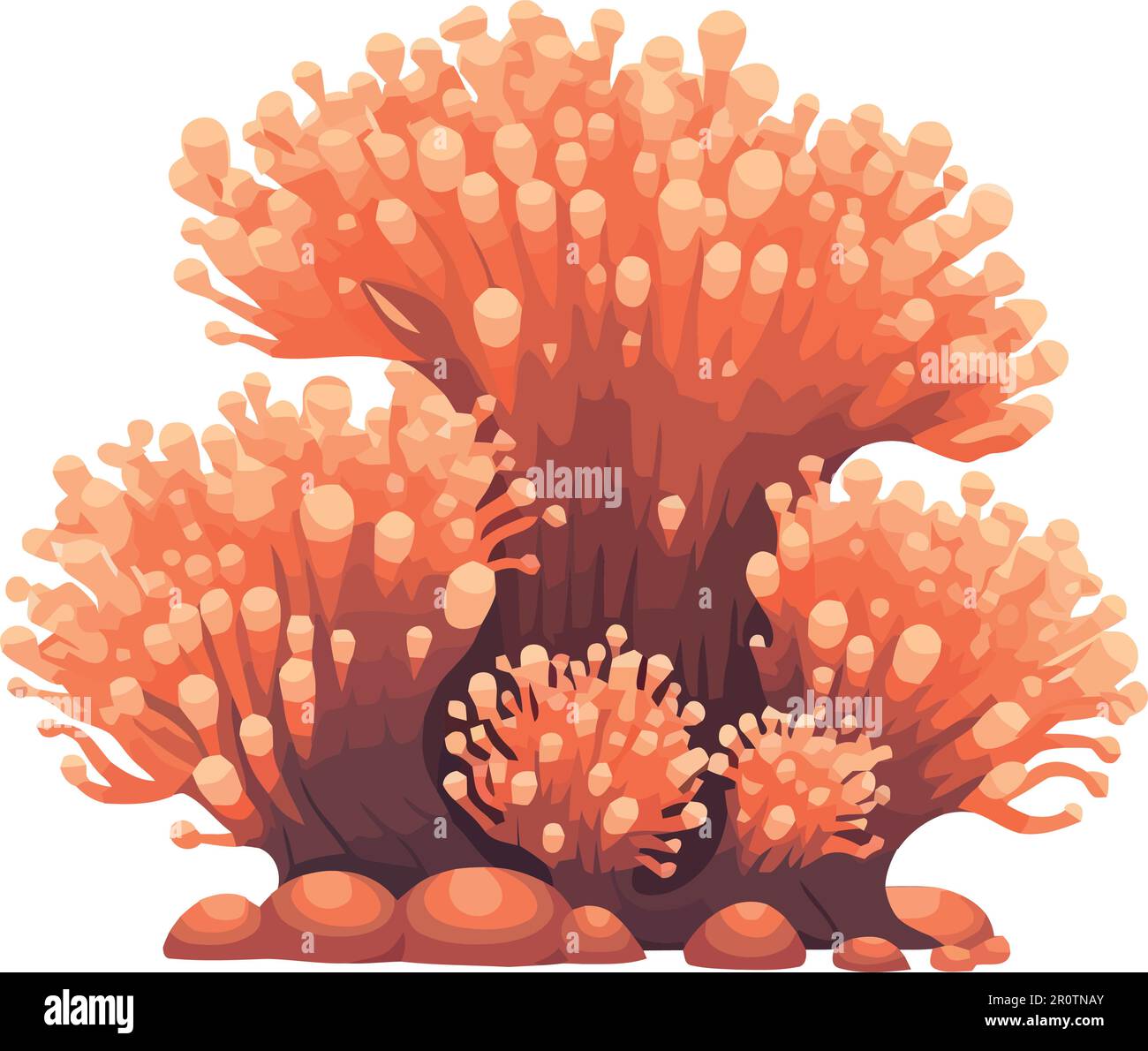 Underwater landscape reef algae Cut Out Stock Images & Pictures - Alamy