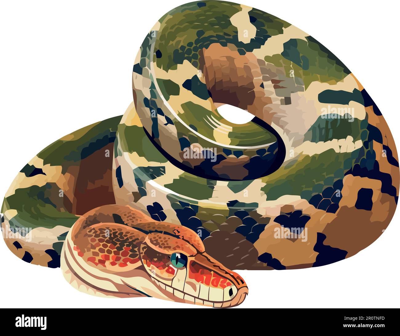 Tropical animals circle design Stock Vector Images - Alamy