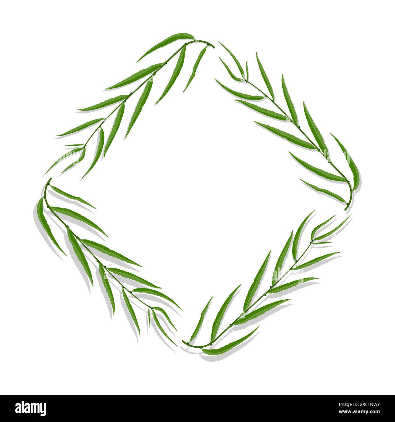 Willow tree frame with green leaves. Cartoon diamond shaped square ...