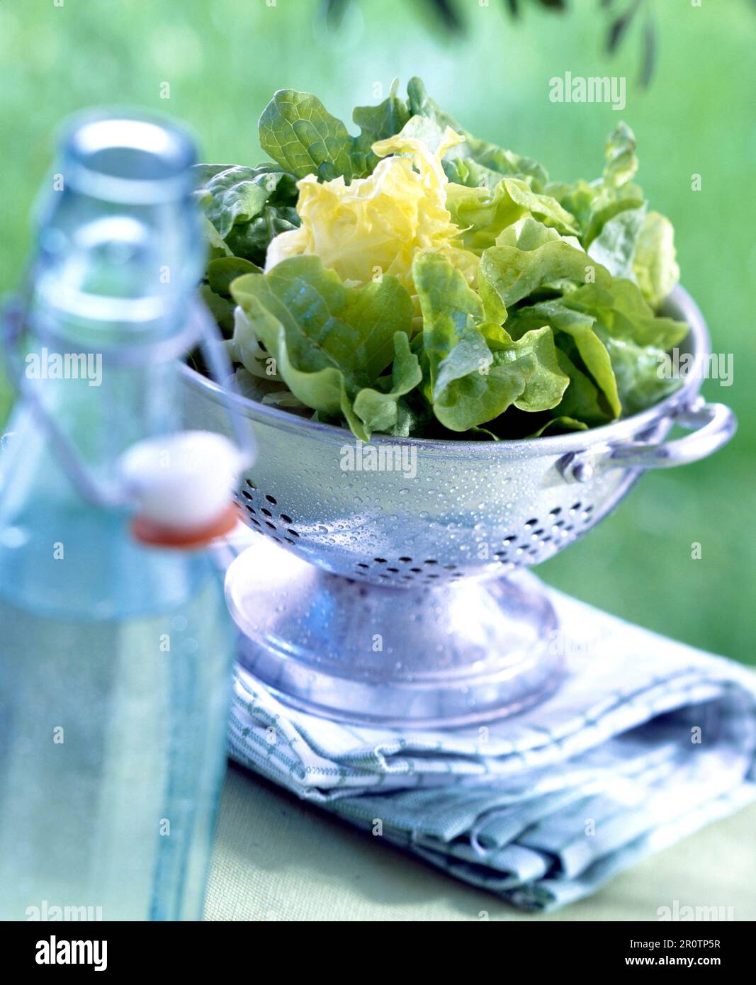 Bib lettuce hi-res stock photography and images - Alamy