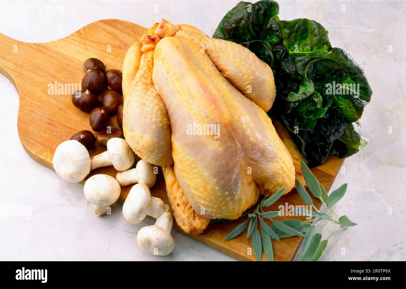 Chicken ready to roast Stock Photo - Alamy