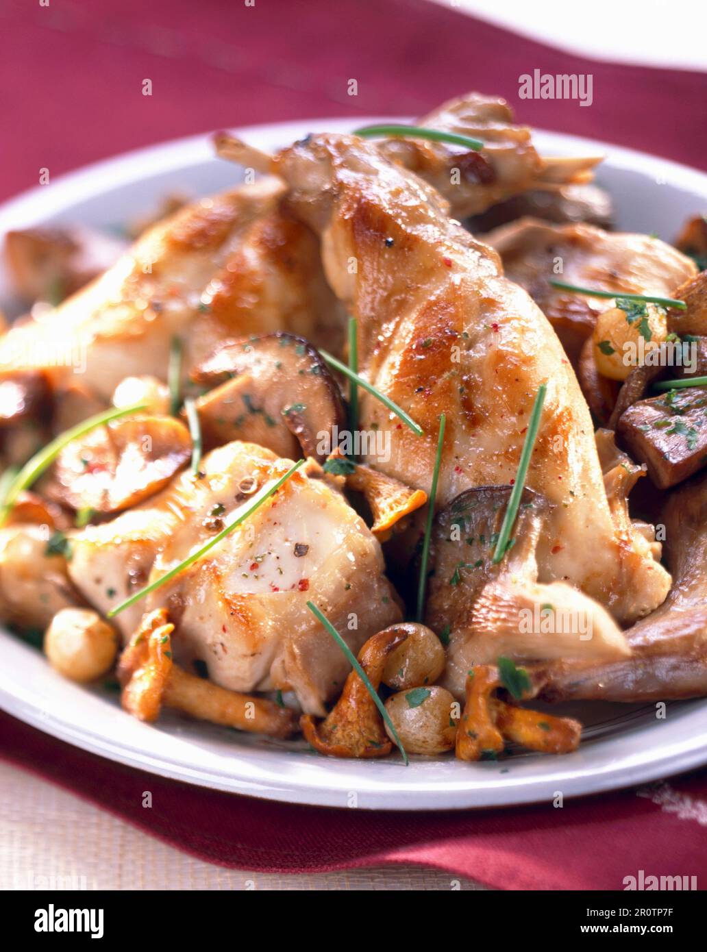 Rabbit fricassée with mushrooms Stock Photo - Alamy