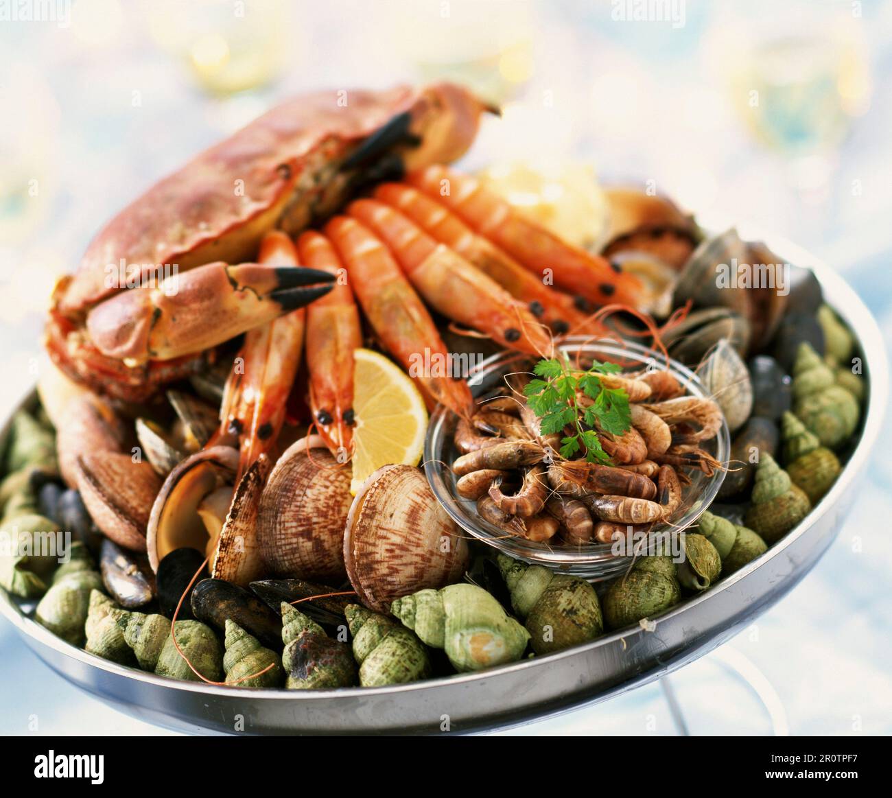 River prawn assortment hi-res stock photography and images - Alamy
