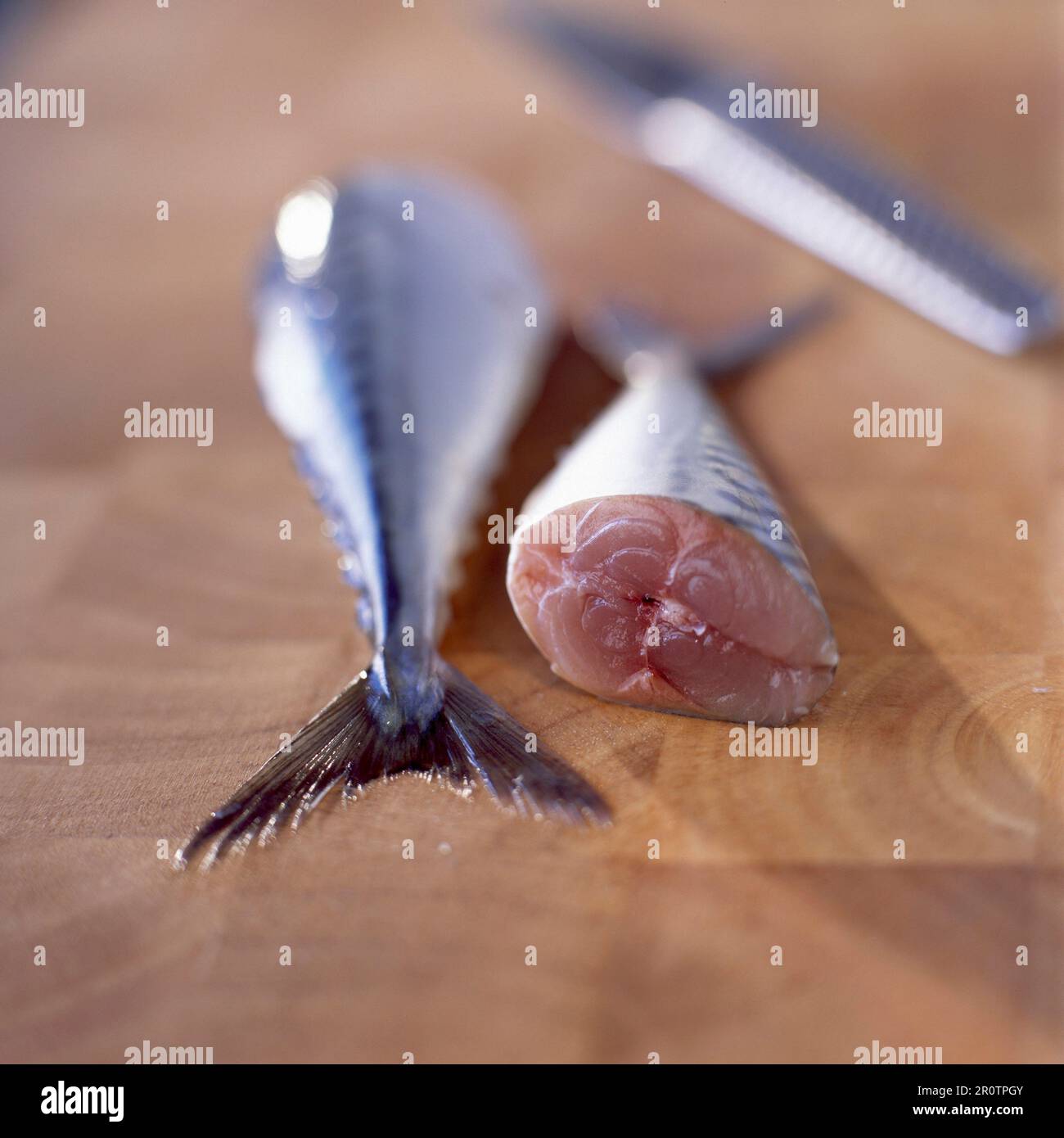 Mackerel section hi-res stock photography and images - Alamy