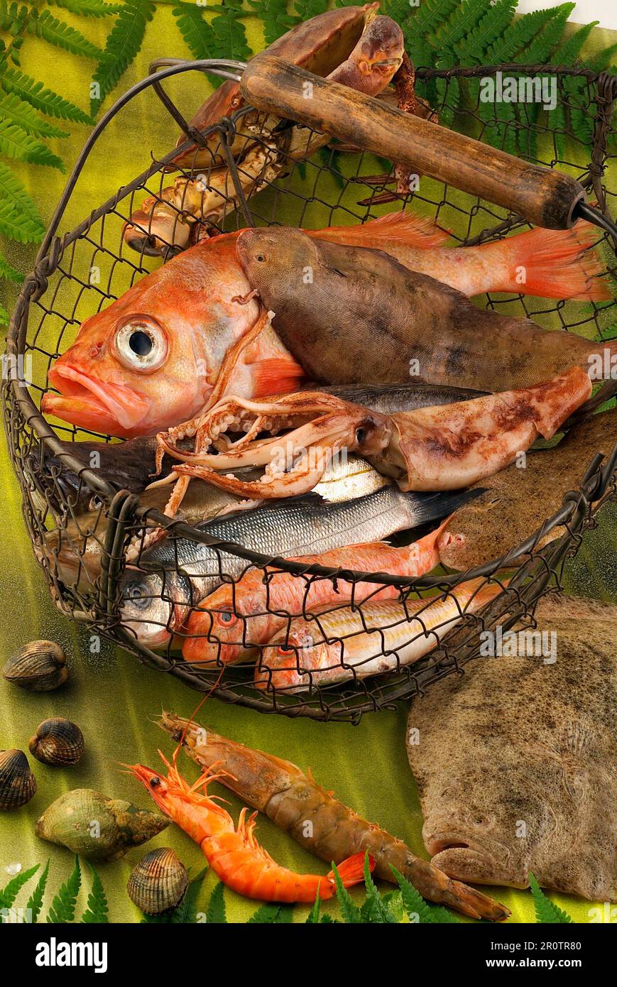 Selection of fish and shellfish Stock Photo - Alamy