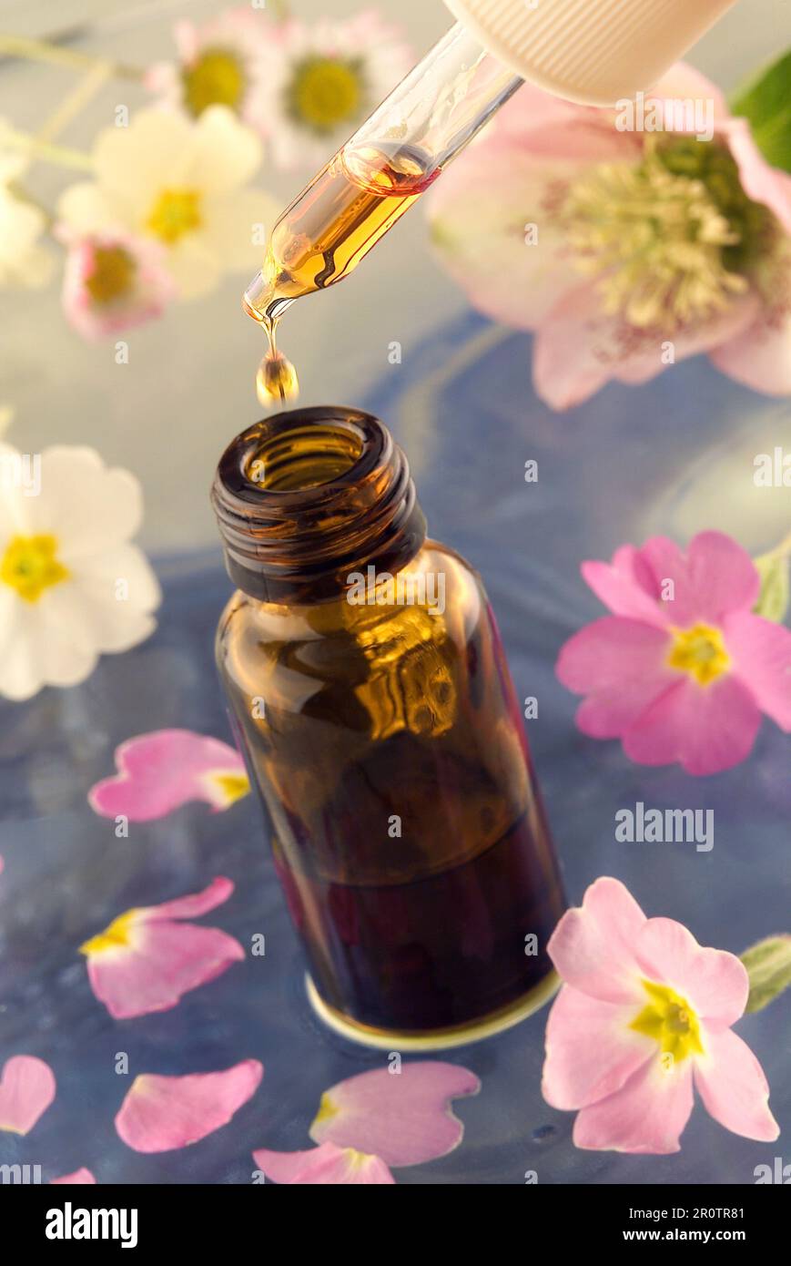 Dropper bottle thyme essential hi-res stock photography and images - Alamy