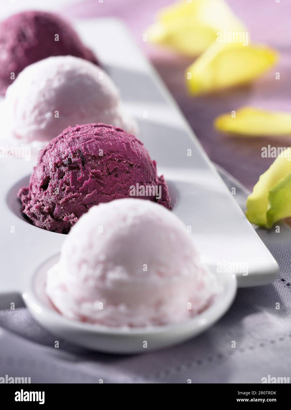 rose and blackcurrant sorbet (topic: ice cream Stock Photo - Alamy