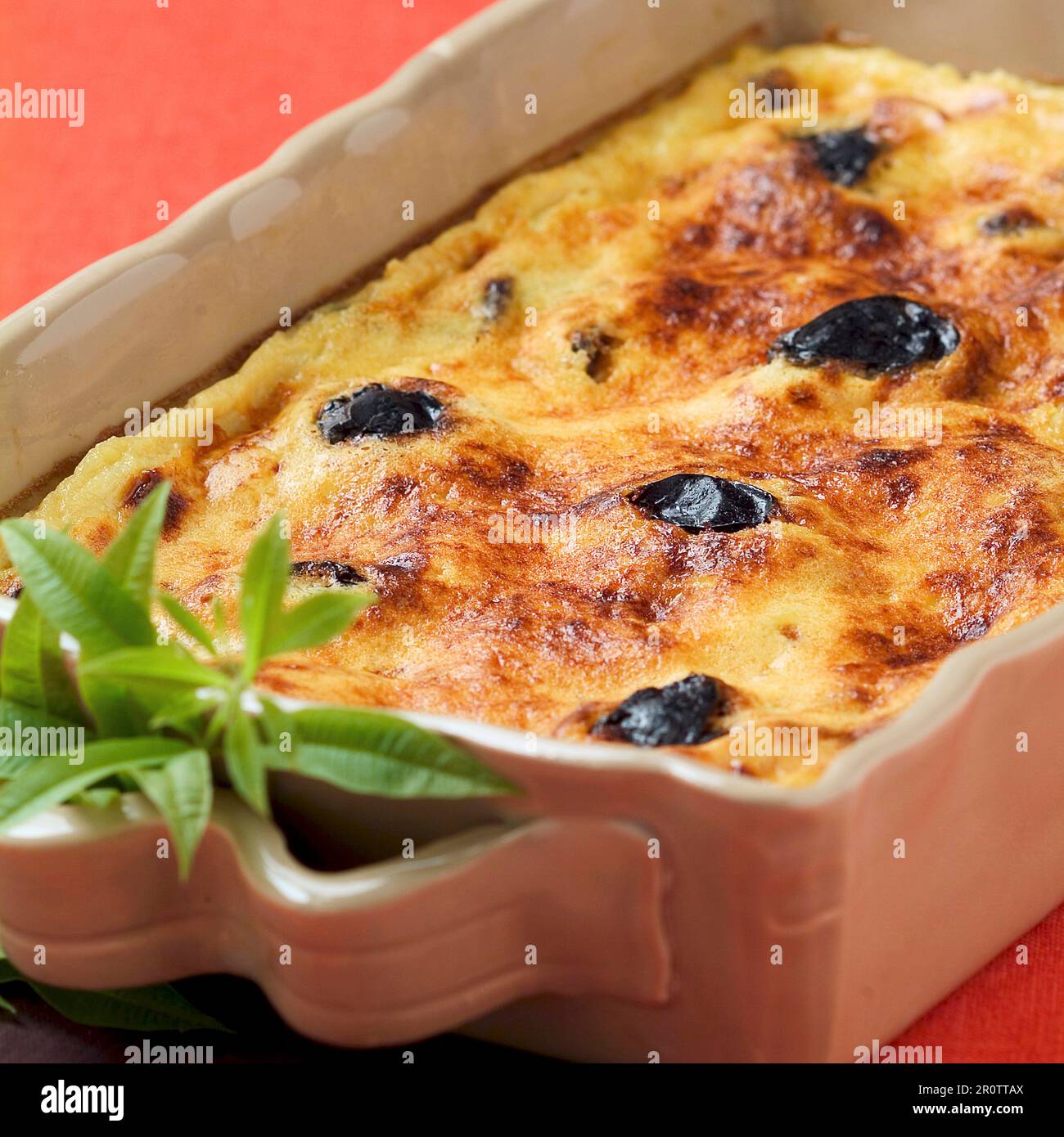 Prune colored hi-res stock photography and images - Alamy