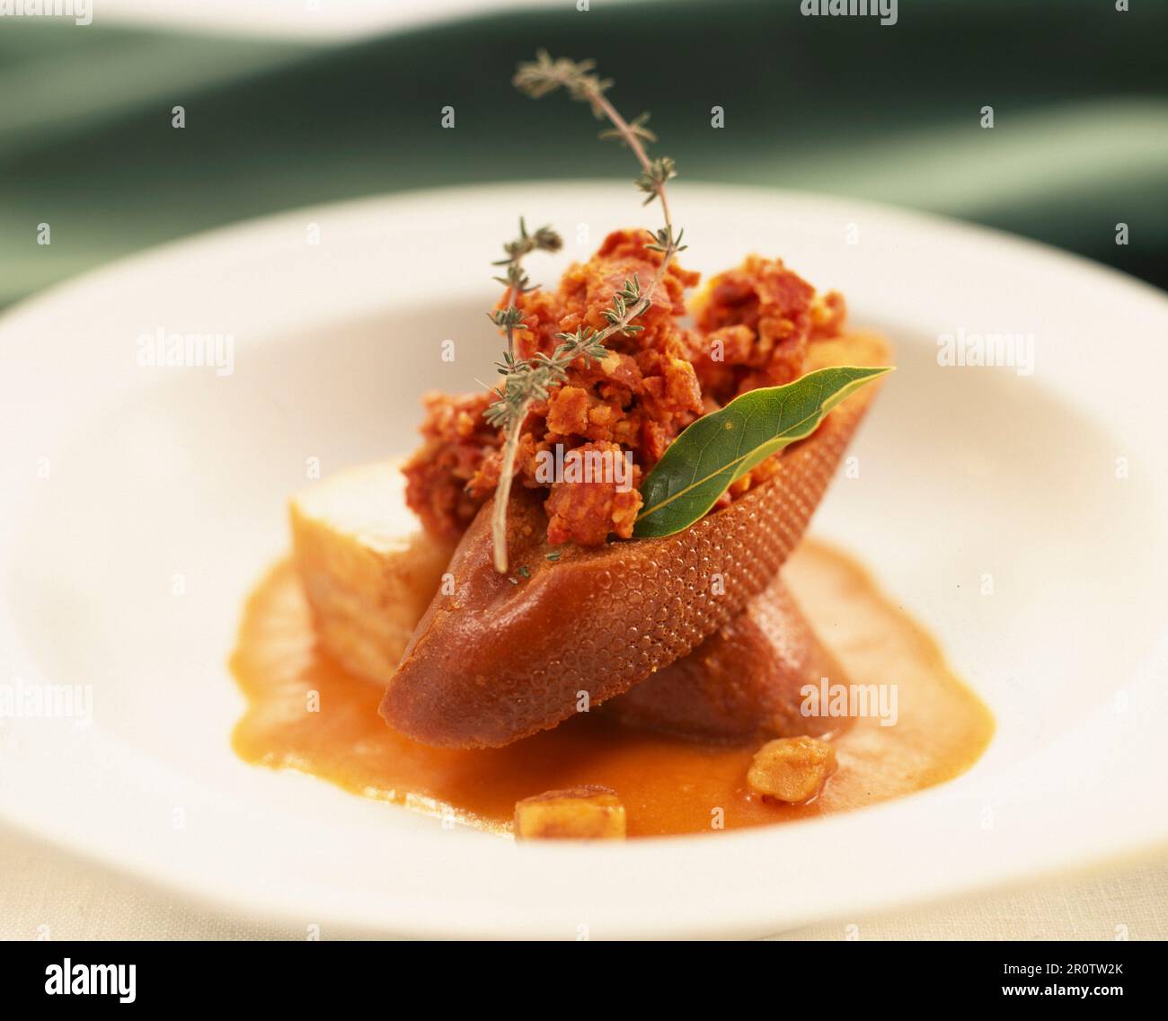 Maggots on food hi-res stock photography and images - Alamy