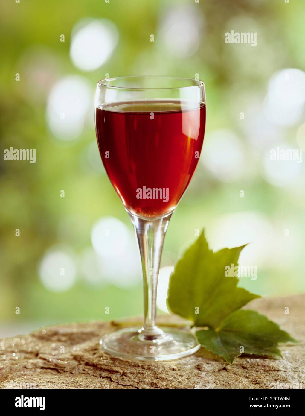 Translucent grapevines hi-res stock photography and images - Alamy