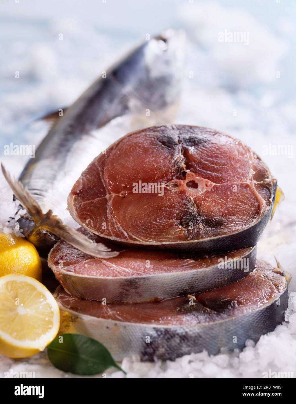 Red tuna steaks Stock Photo - Alamy