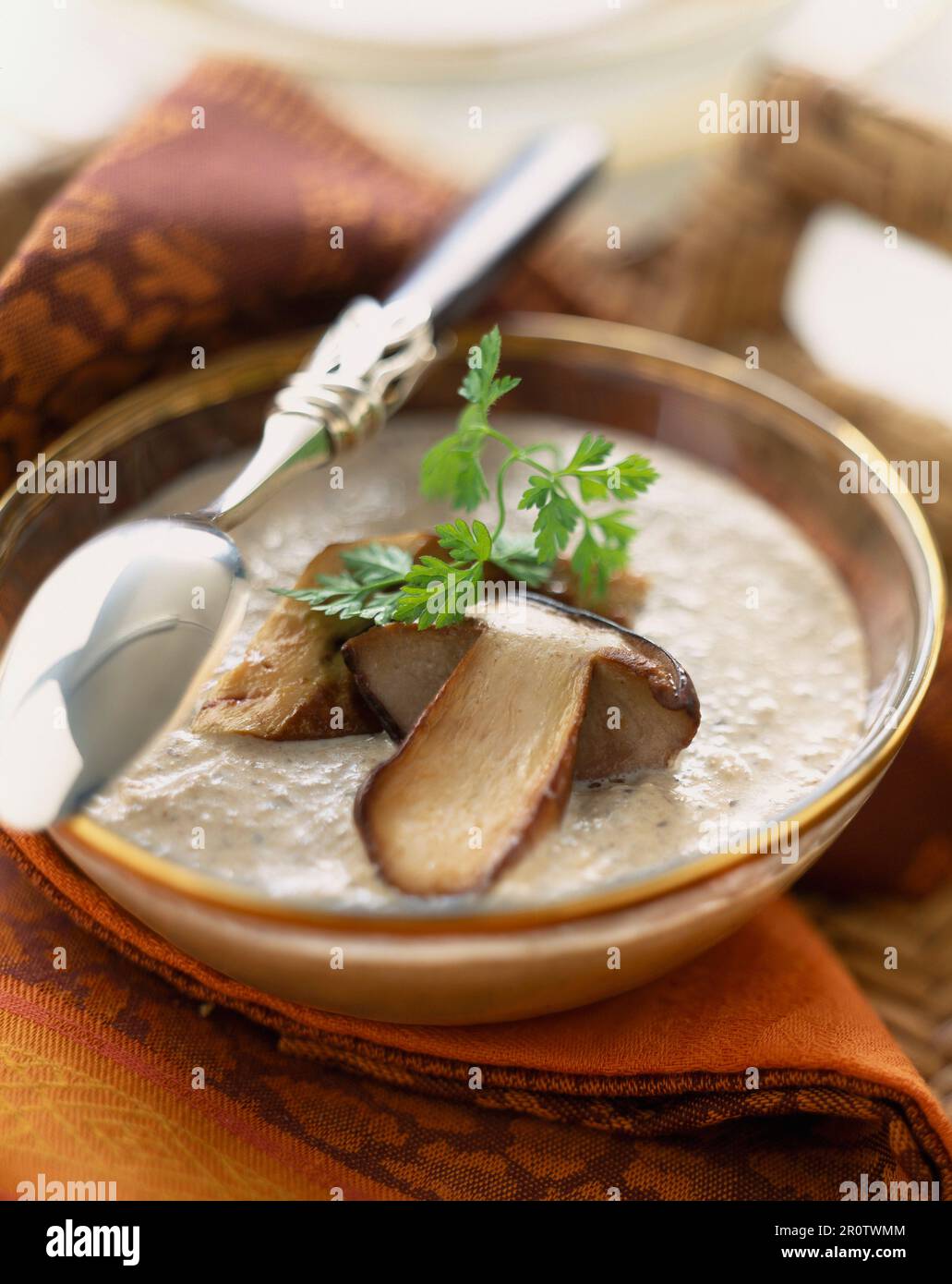 Cream of mushroom consommé soup Stock Photo - Alamy