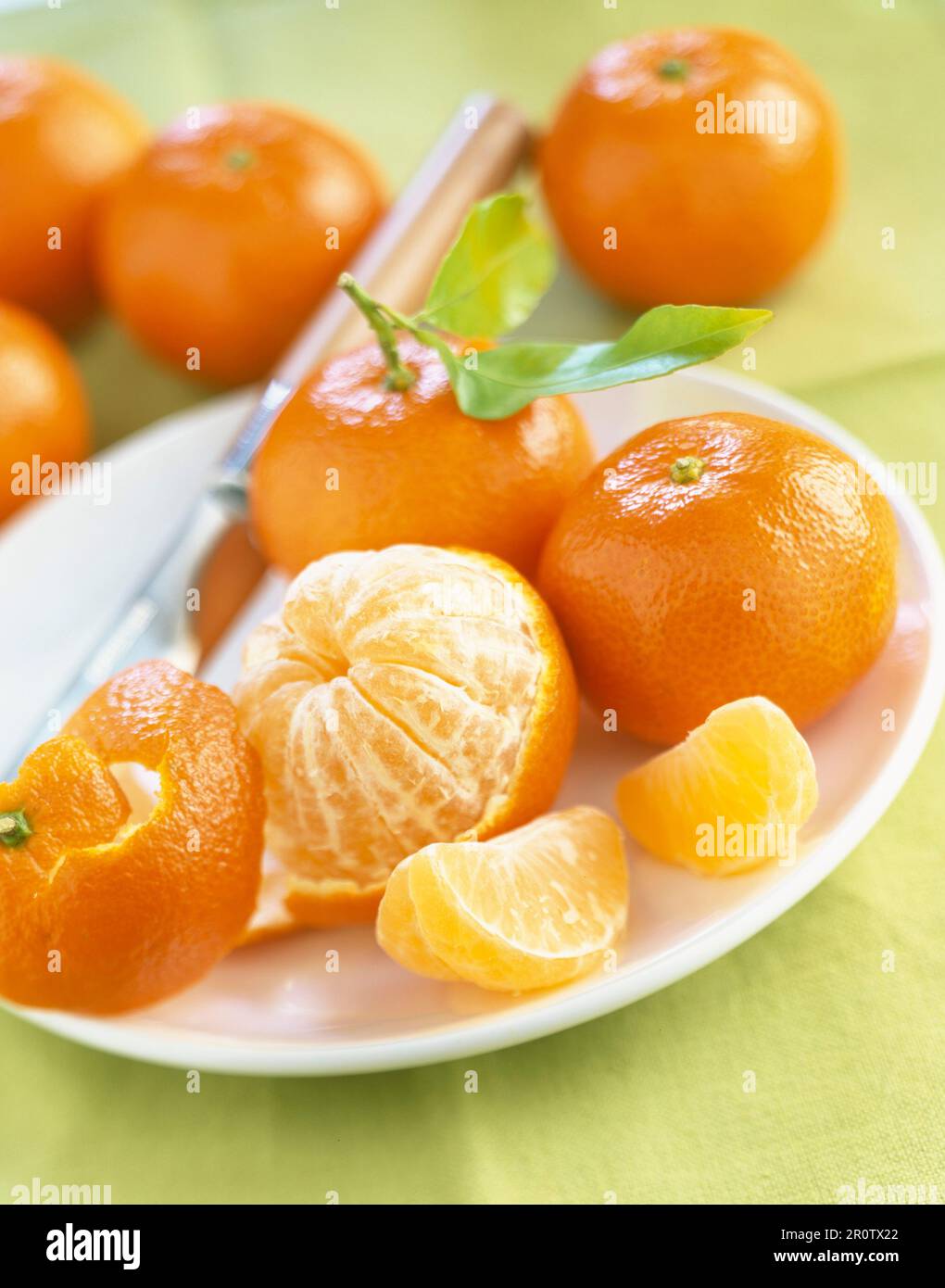 Tangerine colored flower hi-res stock photography and images - Alamy