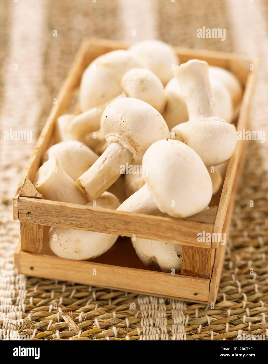 Mini crate of button mushrooms Stock Photo - Alamy