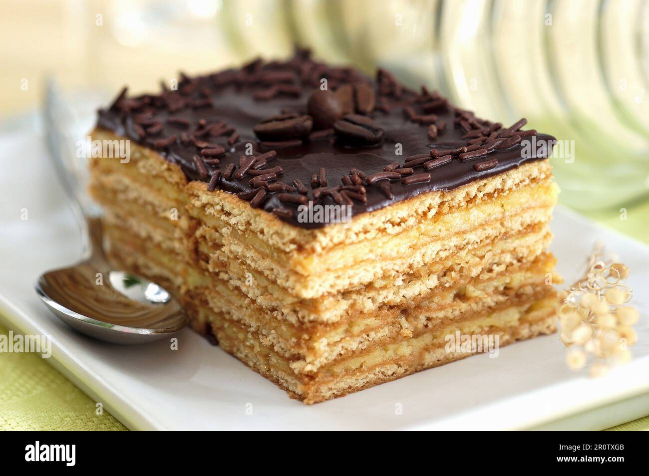 Praline-flavored and chocolate sponge cake Stock Photo - Alamy