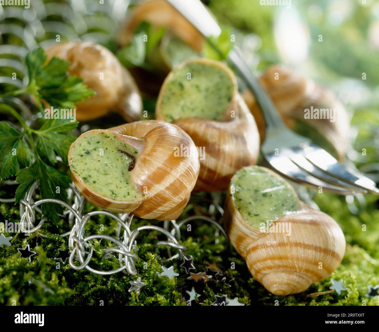 Prepared burgundy snails Stock Photo - Alamy