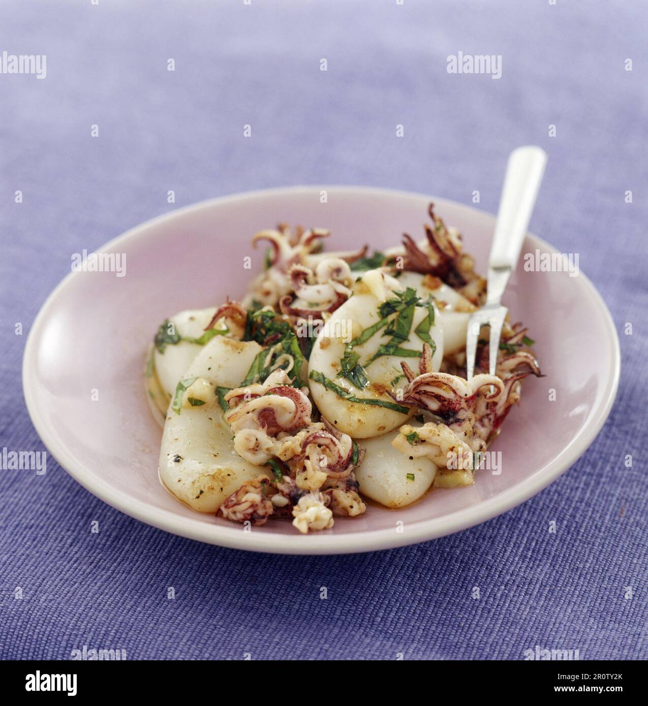 Small squid hi-res stock photography and images - Alamy